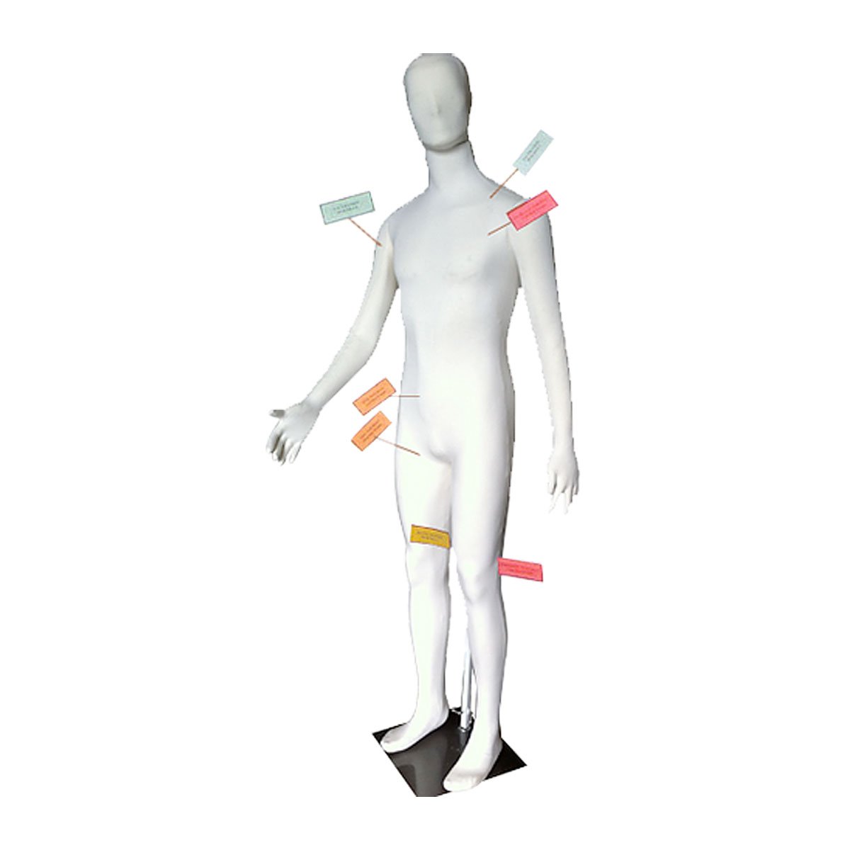 Dummies Unlimited Poly-Flex Forensic Mannequin – Tactical Distributors ...